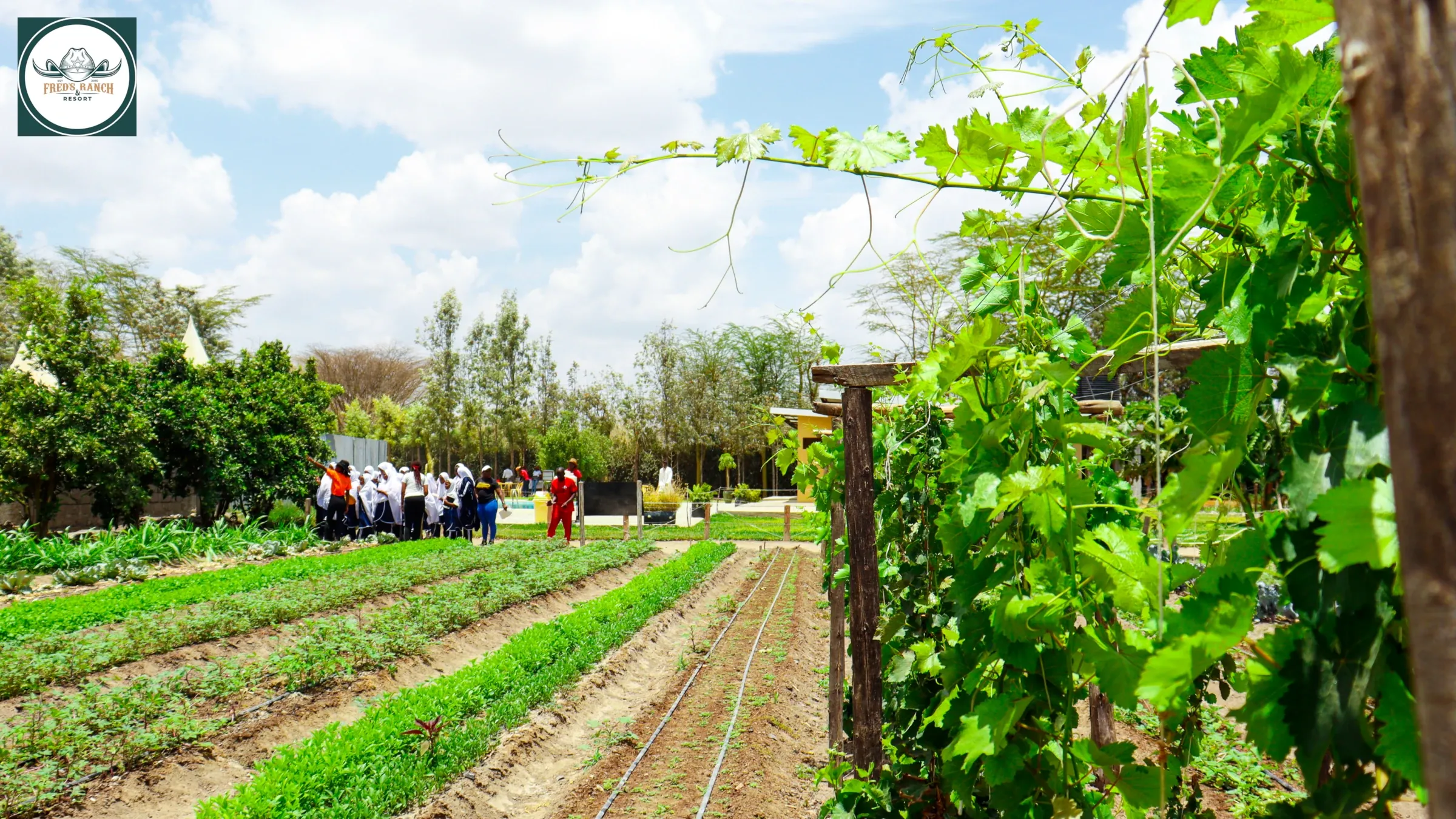 IFAJ Congress 2025 | International Agricultural Journalism Conference ...
