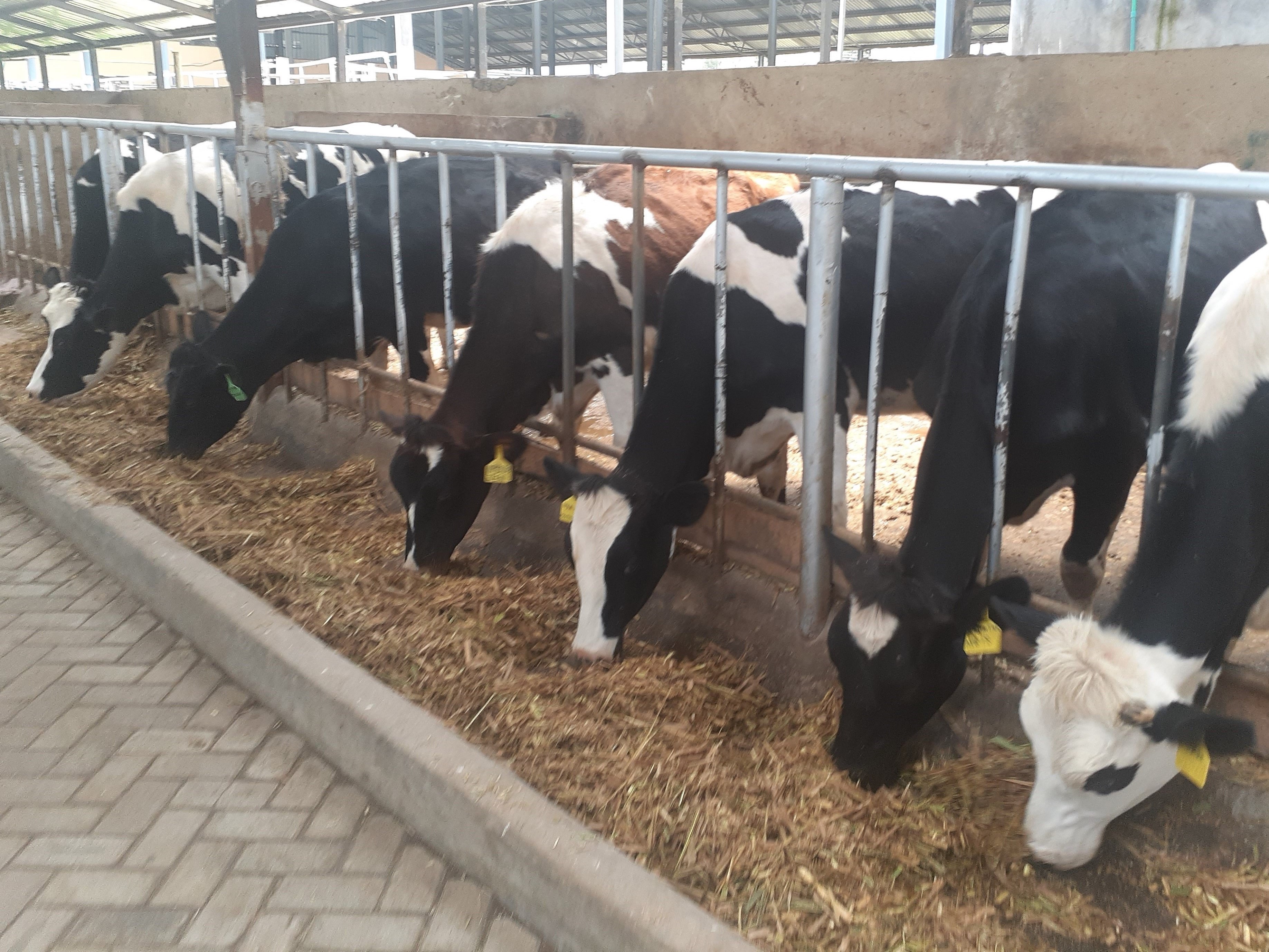 IFAJ Congress 2025 | IFAJ World Congress of Agricultural Journalists 2025